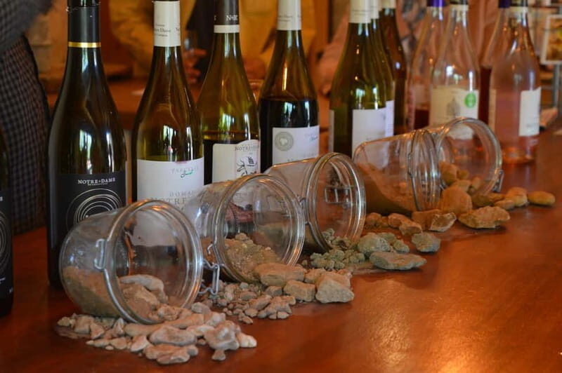 Saint-Martin-d'Ardèche: Electric Bike Wine Tour & Tasting