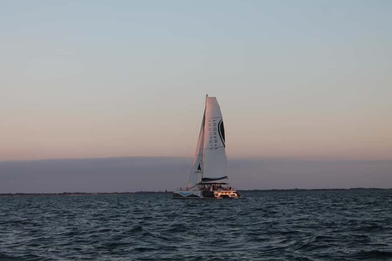 Saint-Martin-de-Ré : Sunset Catamaran Cruise (2h00)