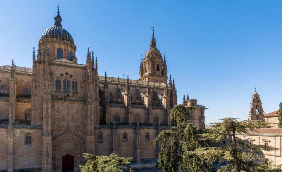 Salamanca: Cathedral of Salamanca Ticket with Audio Guide