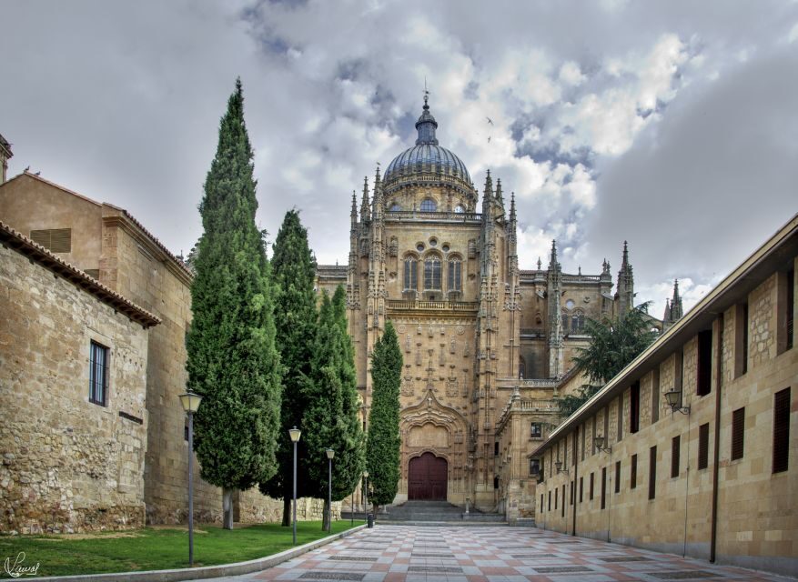 Salamanca: Private tour of the most important sites
