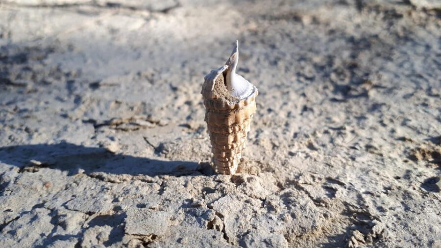 San Gimignano: E-Bike Tour with Tasting - What’s Included and What’s Not