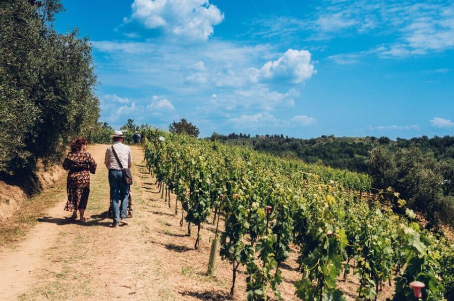 San Miniato: Wine Tour in a Family-Run Tuscan Winery - The Real-World Experience: What Travelers Say