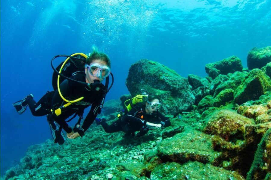 Santa Cruz de Tenerife: Beginner's Diving & Introduction
