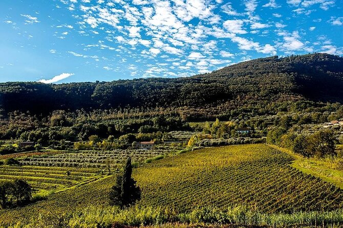 Sant'Agata de' Goti wine tasting and cooking class experience - A Fresh Look at the SantAgata de Goti Wine Tasting and Cooking Class Experience