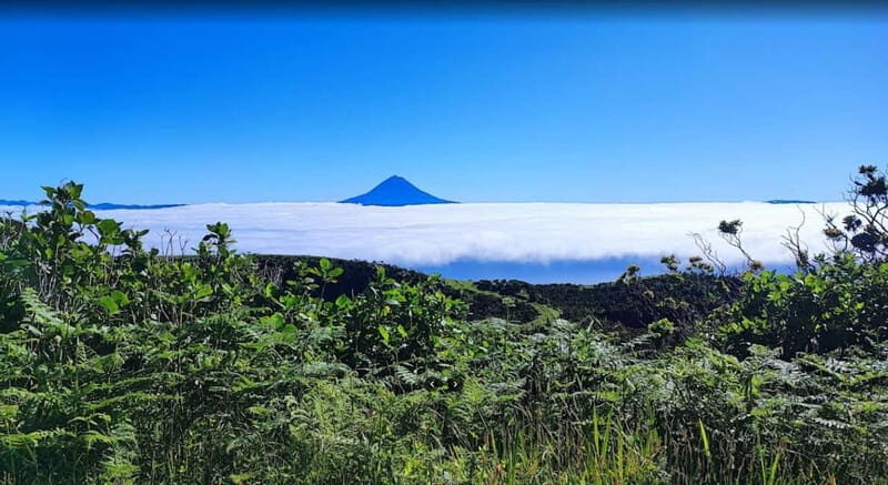São Jorge Island Panoramic Adventure 4 Hour Tour - Why This Tour Works for Travelers