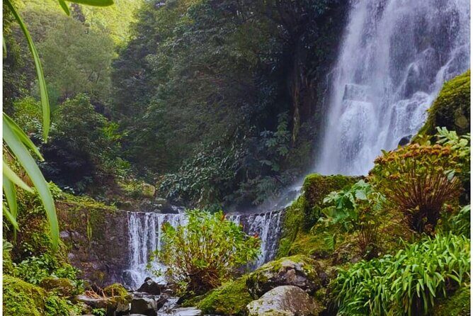 São Miguel: Majestic North Tour (Local Lunch Incl.)