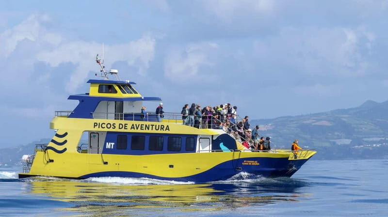 São Miguel: Whale-Watching Cruise with Marine Biologist
