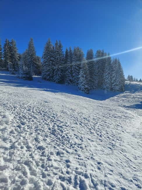 Sarajevo Sport tour: Olympic Mountains and Stadium Tour - Practical Details and What to Expect