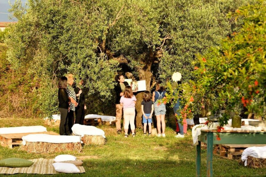 Sardegna: tour nel mondo dell' olio ExtraVergine, in tedesco