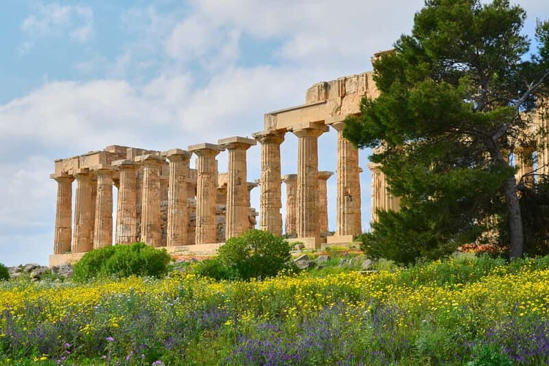 Selinunte: Archeological Park Entry Ticket & App Audioguide - What to Expect During Your Visit