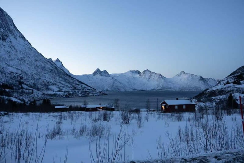 Senja: Full-Day Guided Tour with Husøy and Ersfjord