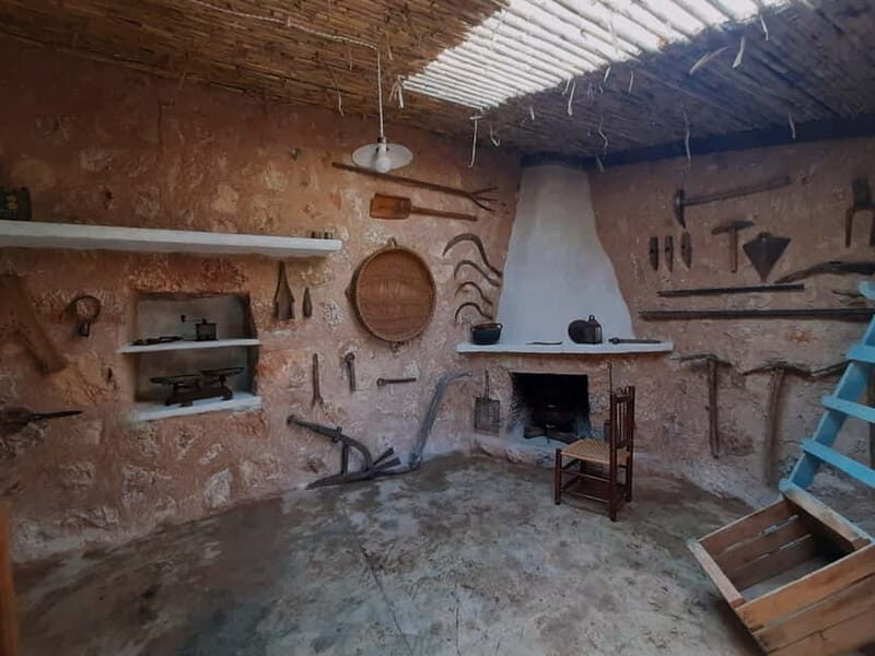 Serra de Tramuntana, Fornalutx: The olive tree: culture, cultivation, tasting. - Practical Tips for Visitors