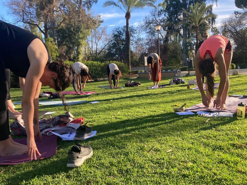 Seville: Group Yoga classes All levels - in French - Who Will It Suit?