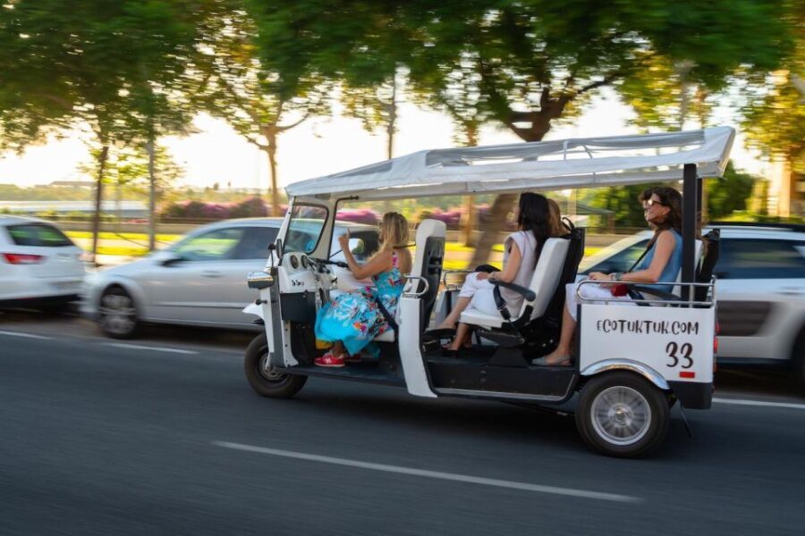Seville: Private City Tour by Eco Tuk Tuk