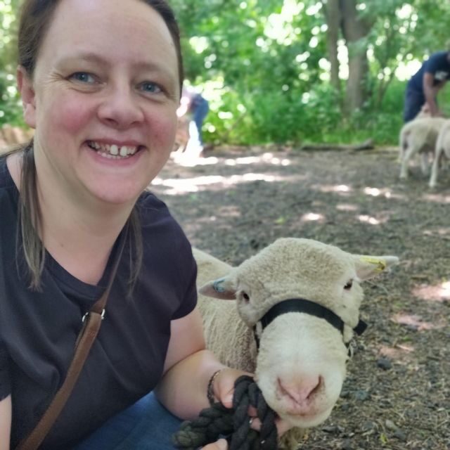 Shropshire: Sheep Trek with the Smallest Sheep in the World