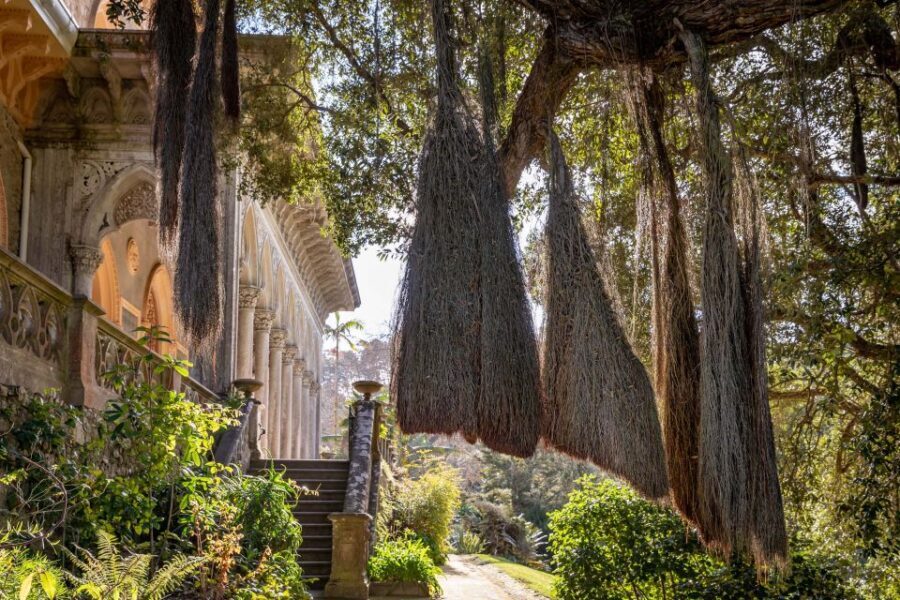 Sintra: Monserrate Palace & Park Ticket