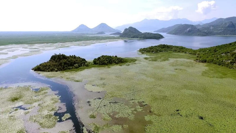 SKADAR LAKE: A national park with amazing flora and fauna!