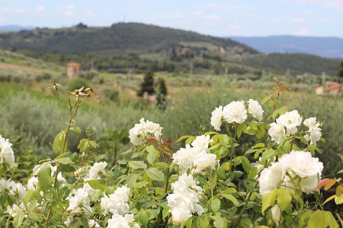 SMALL GROUP Chianti Tradition wine tour (max 8 pp) - Key Points