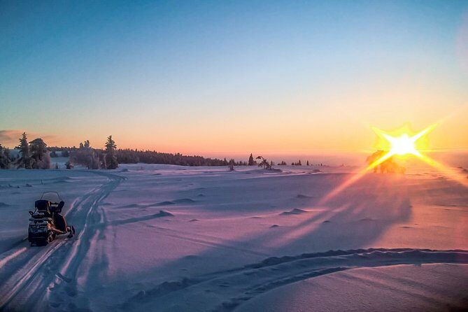 Snowmobile Safari in the Nature - Who Will Love This Tour?