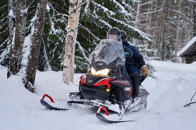 Snowmobile Safari to Arctic Nature - Key Points