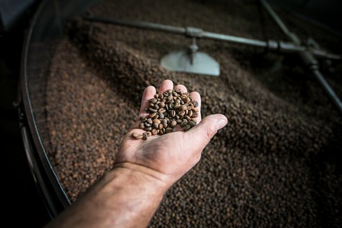 Song of the Sea: Fish, Seafood and Tradition in Lisbons Port Zone - Practical Considerations and Final Thoughts