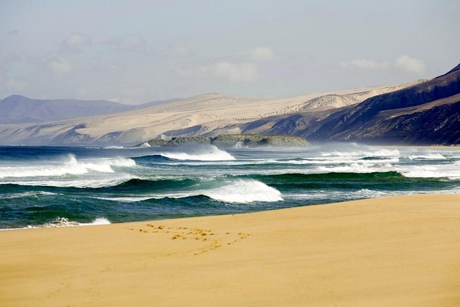 Spain's Best Beaches Day Trip from Seville - What the Tour Offers: A Balanced and Authentic Day