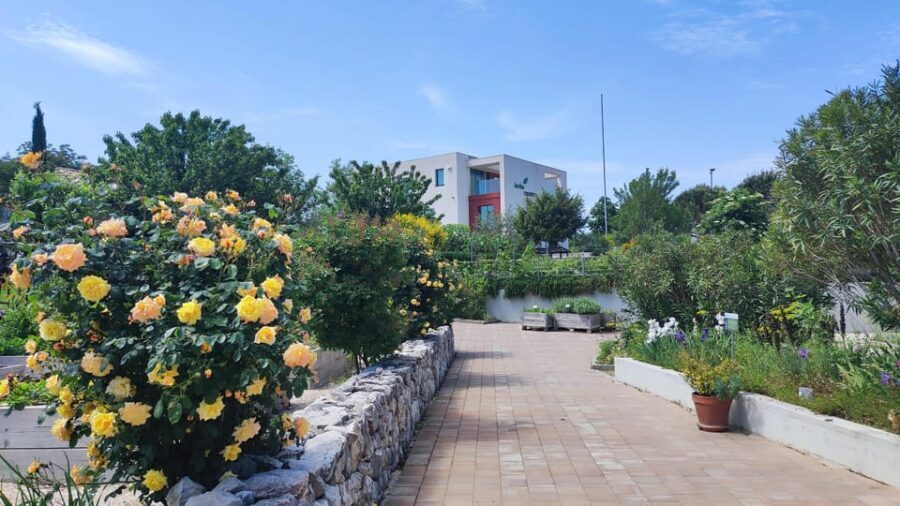 Split: Historical Tour of Salona, Klis Fortress and Trogir - Price and Value