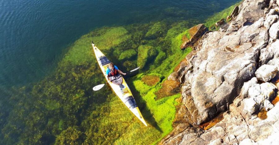 Stockholm: 1, 2, or 3-Day Kayaking Tour in the Archipelago