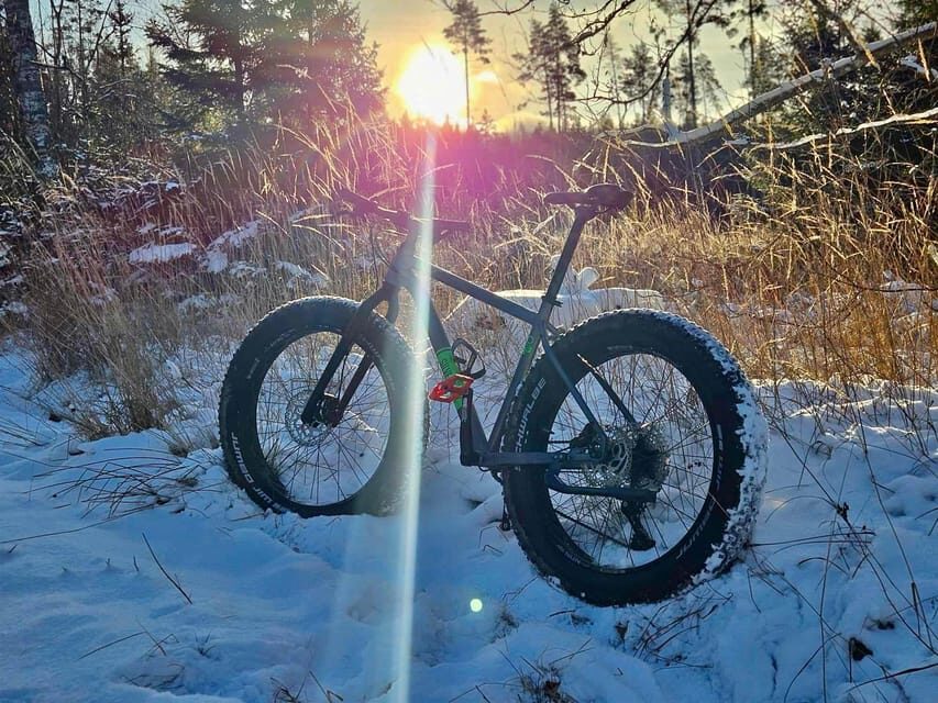 Stockholm: Fat Bike Forest Adventure with Lunch and Sauna