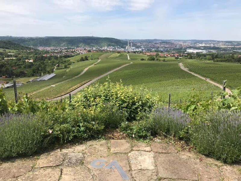Stuttgart: E-bike wine tour including tasting