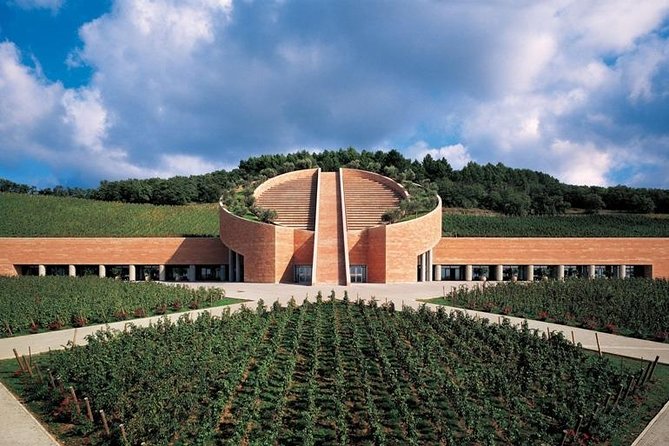 Suvereto Wine Experience PRIVATE TOUR from SIENA - Key Points