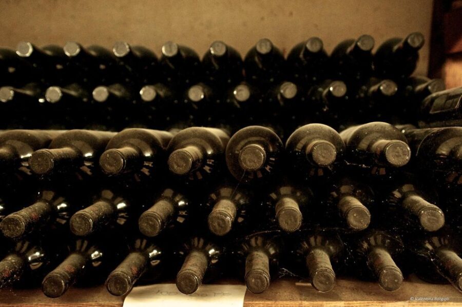 Tamburini Wine Tour and Tasting - The Tasting Experience: Authentic, Delicious, and Inclusive