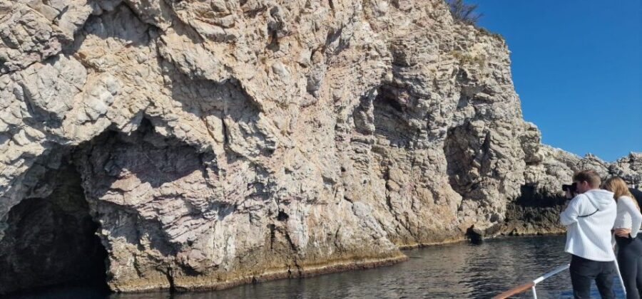 Taormina Coast Tour and Searching Dolphins