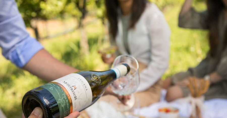 Taste with us Bardolino, Chiaretto and Lugana near Verona - Key Points