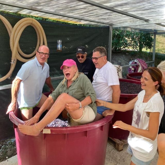 Tasting in a Tuscan Vineyard with transfer from Lucca