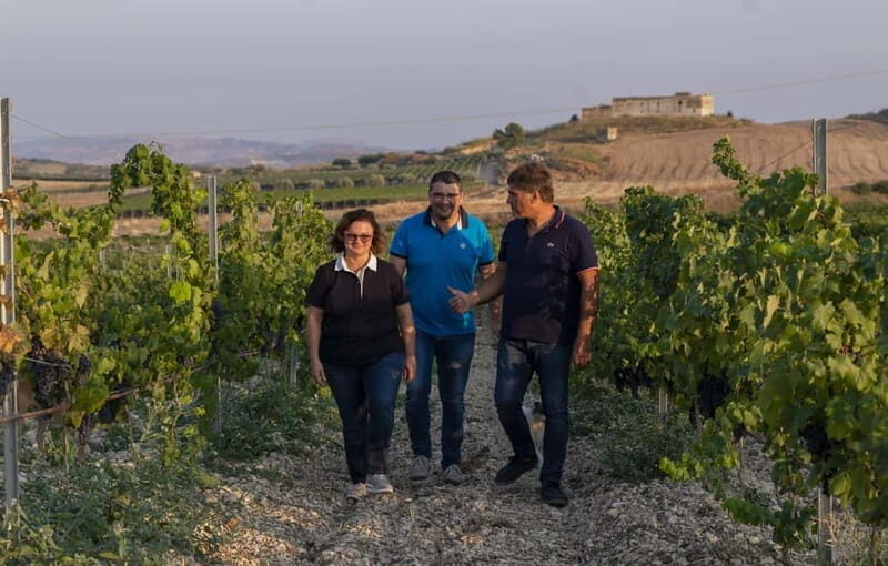 Tasting of EVO Wines and Oil in the countryside of Agrigento