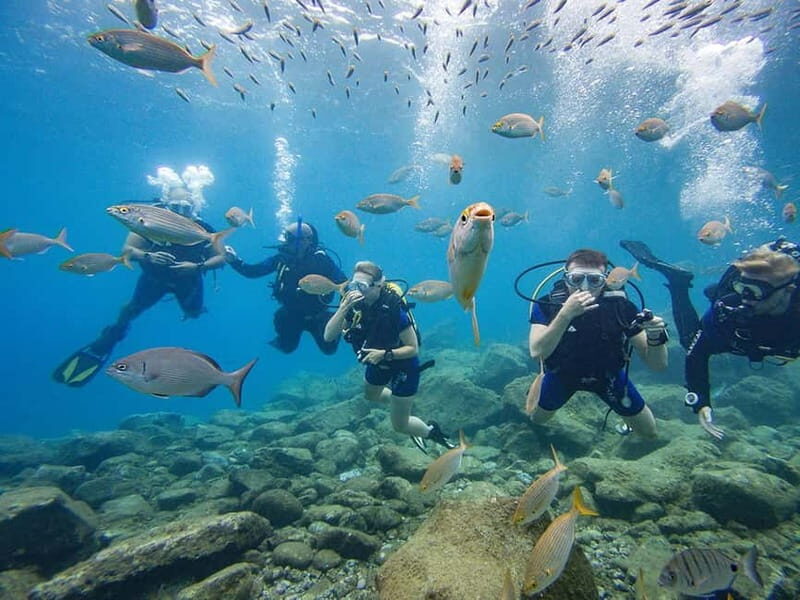 Tenerife: Beginner Scuba Diving Experience with Pickup