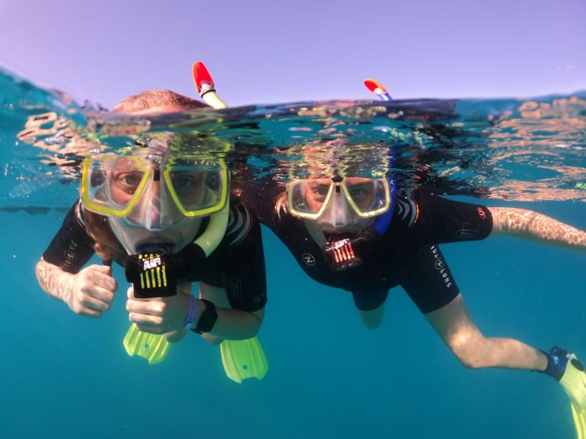 Tenerife: Half-Day Snorkeling Tour