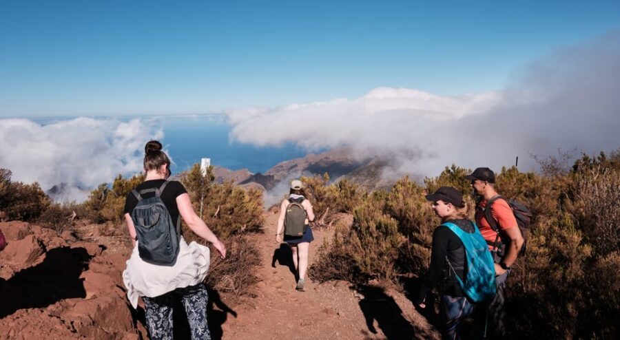 Tenerife: Hiking Tour Above Masca & Enchanted Forest