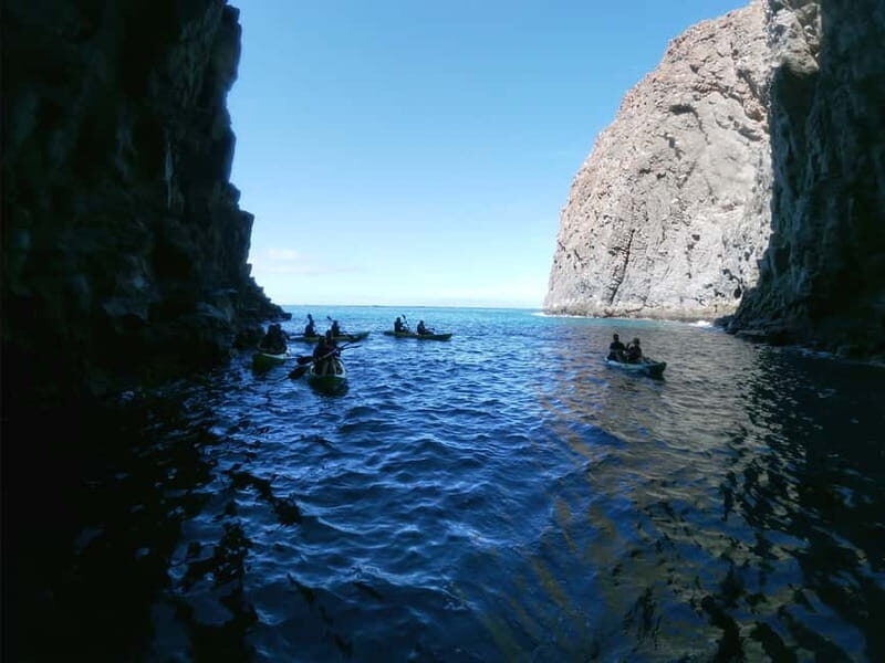 Tenerife: Kayak & Snorkel Tour with Turtles and Dolphins