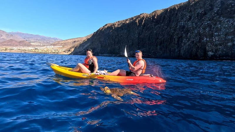 Tenerife: Kayak & Snorkeling Tour - Small Groups - The Itinerary in Detail