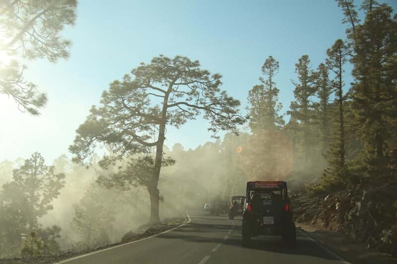 Tenerife: MORNING - Family 4seats Buggy tour of Teide