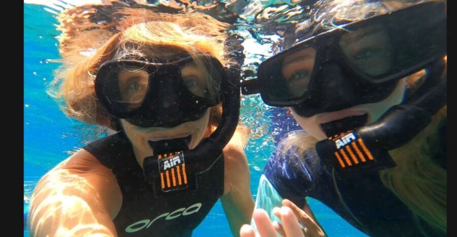 Tenerife: Snorkeling Tour in a Marine Protected Area