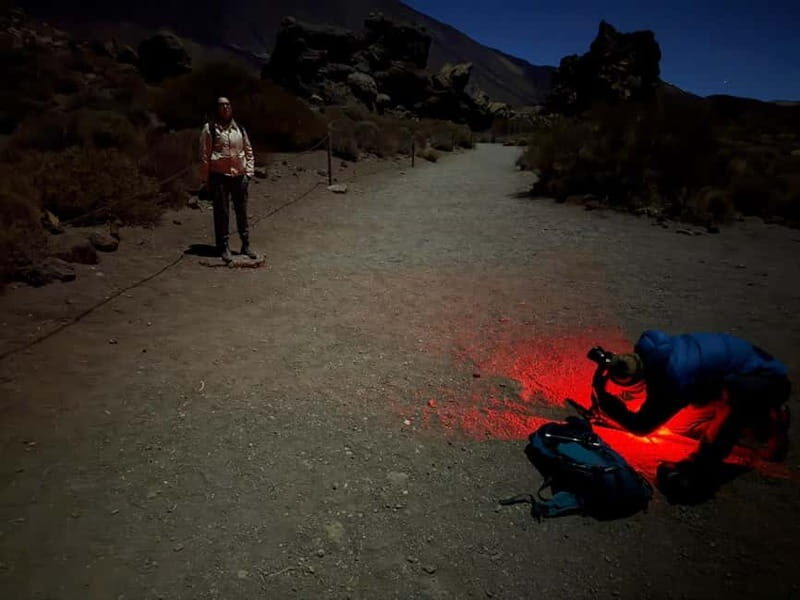 Tenerife: Stargazing Walk in Teide National Park