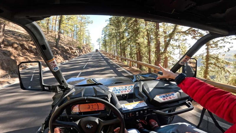 Tenerife: Teide National Park Guided Buggy Tour