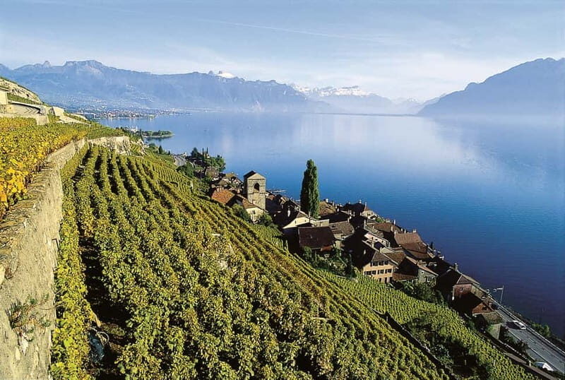 The Swiss Riviera Experience  Exclusive Private Tour - The Sum Up: Who Will Love This Tour?