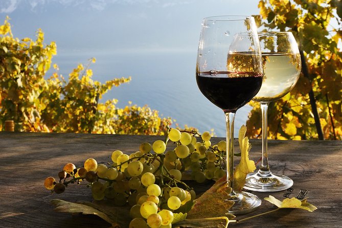 The Vine Tour from Zurich (Private Tour) - A Deep Dive into the Itinerary
