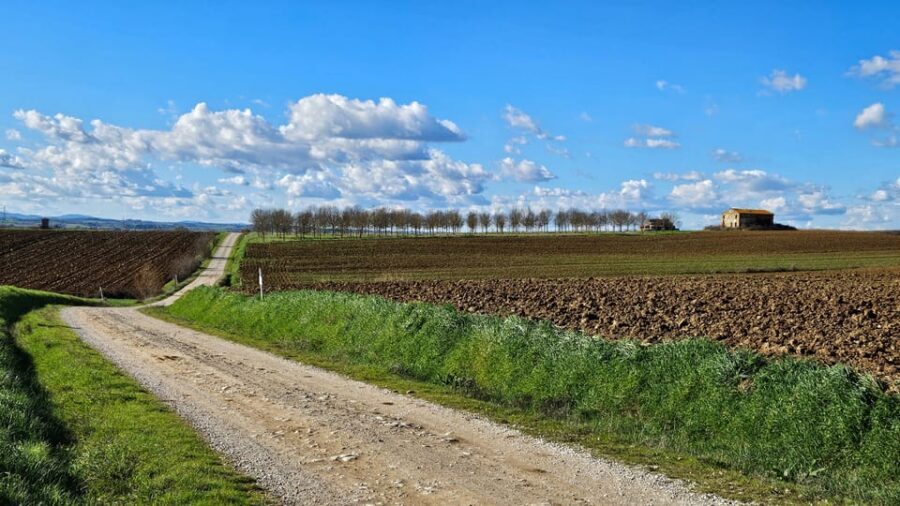 The WINEdering Bike: Private Bike Tour & Wine Tasting