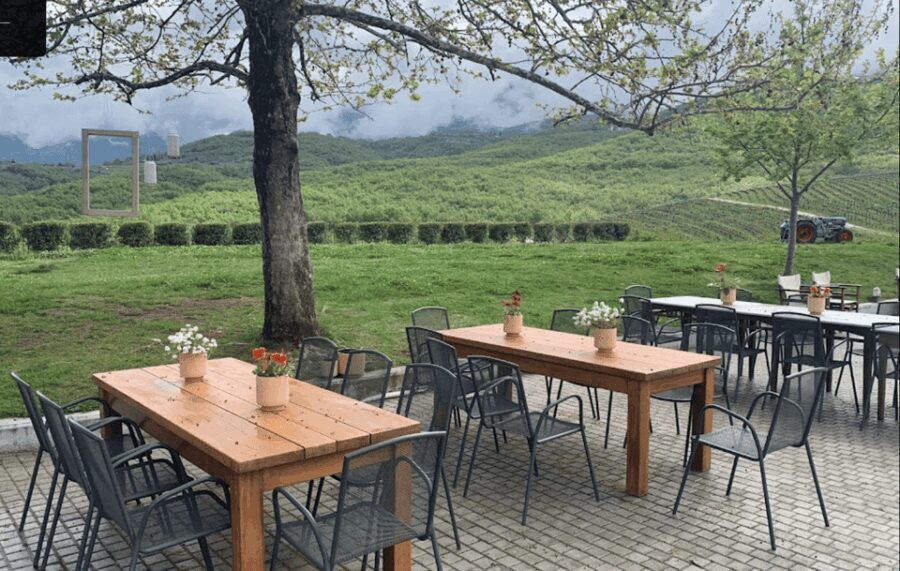 Thessaloniki: Naousa Wine Region Private Day Tour