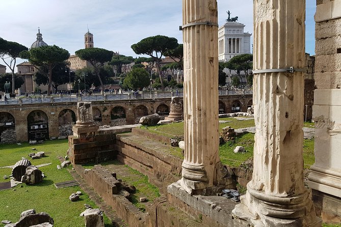Tour in Rome, full day - An In-Depth Look at the Tour Experience